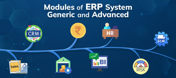 Modules of ERP System: Generic and Advanced
